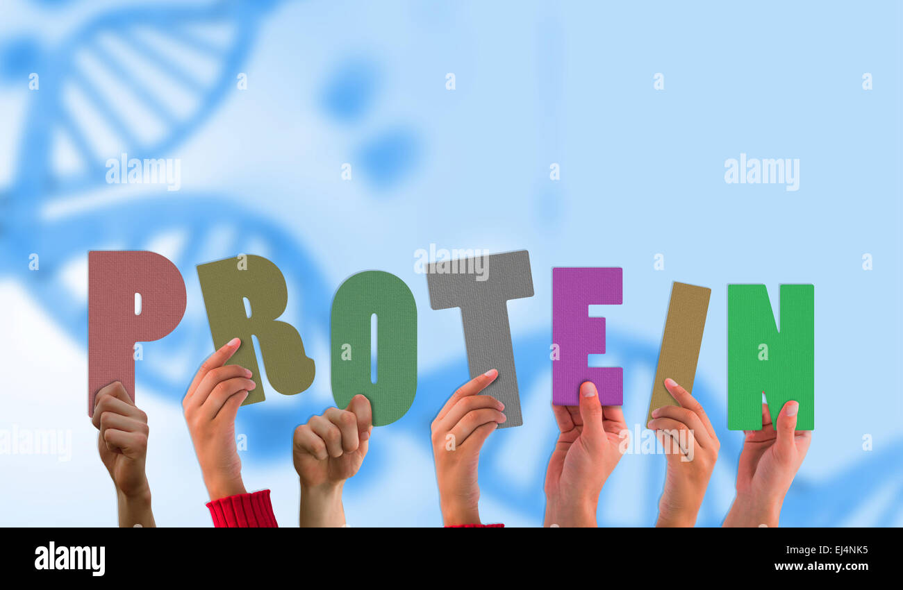 Composite image of hands holding up protein Stock Photo - Alamy