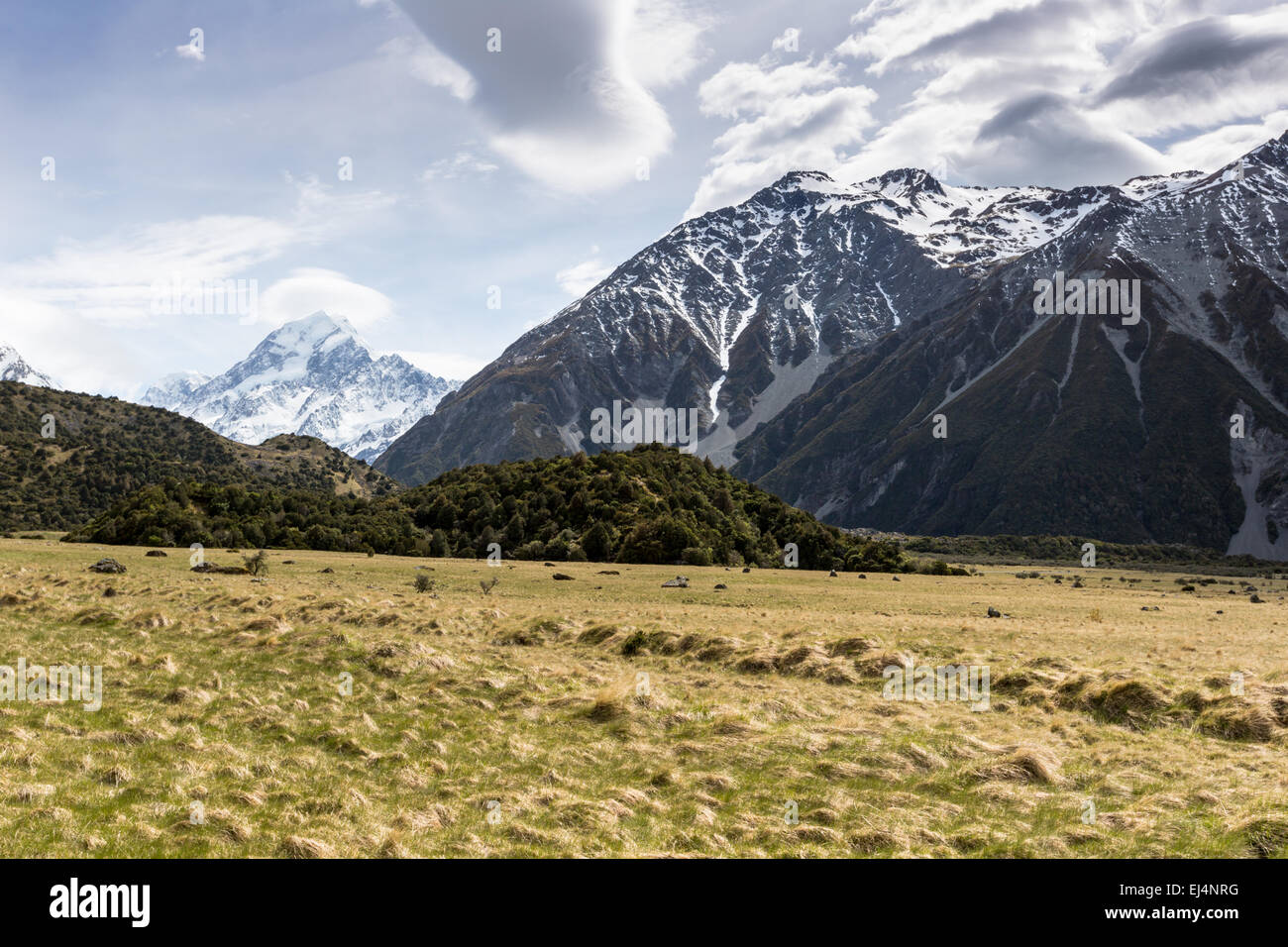 View of Mt Cook National Park, New Zealand Stock Photo - Alamy