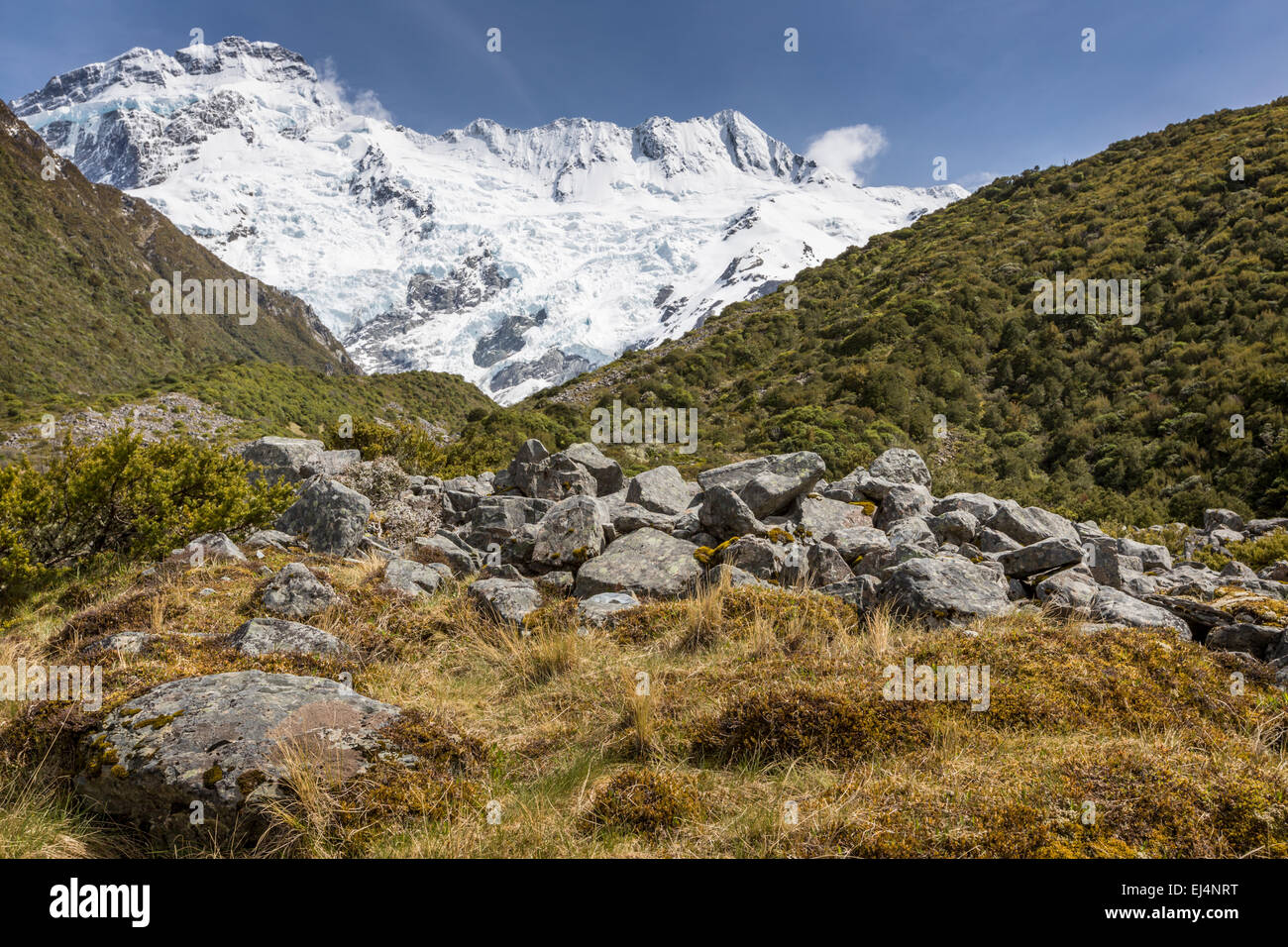 View of Mt Cook National Park, New Zealand Stock Photo - Alamy