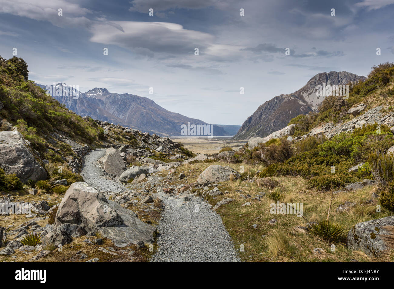 View of Mt Cook National Park, New Zealand Stock Photo - Alamy