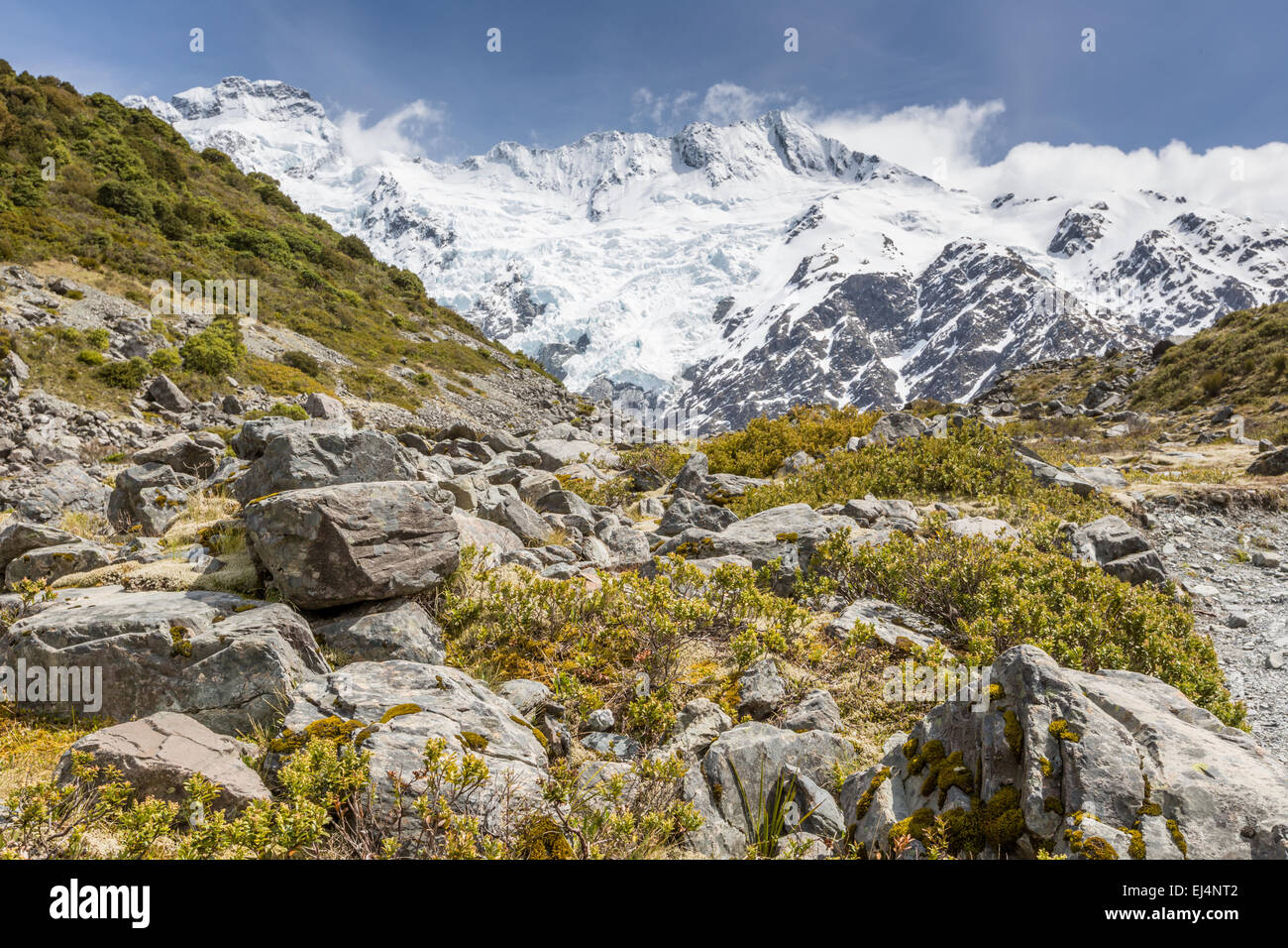 Kea Point, New Zealand Stock Photo - Alamy