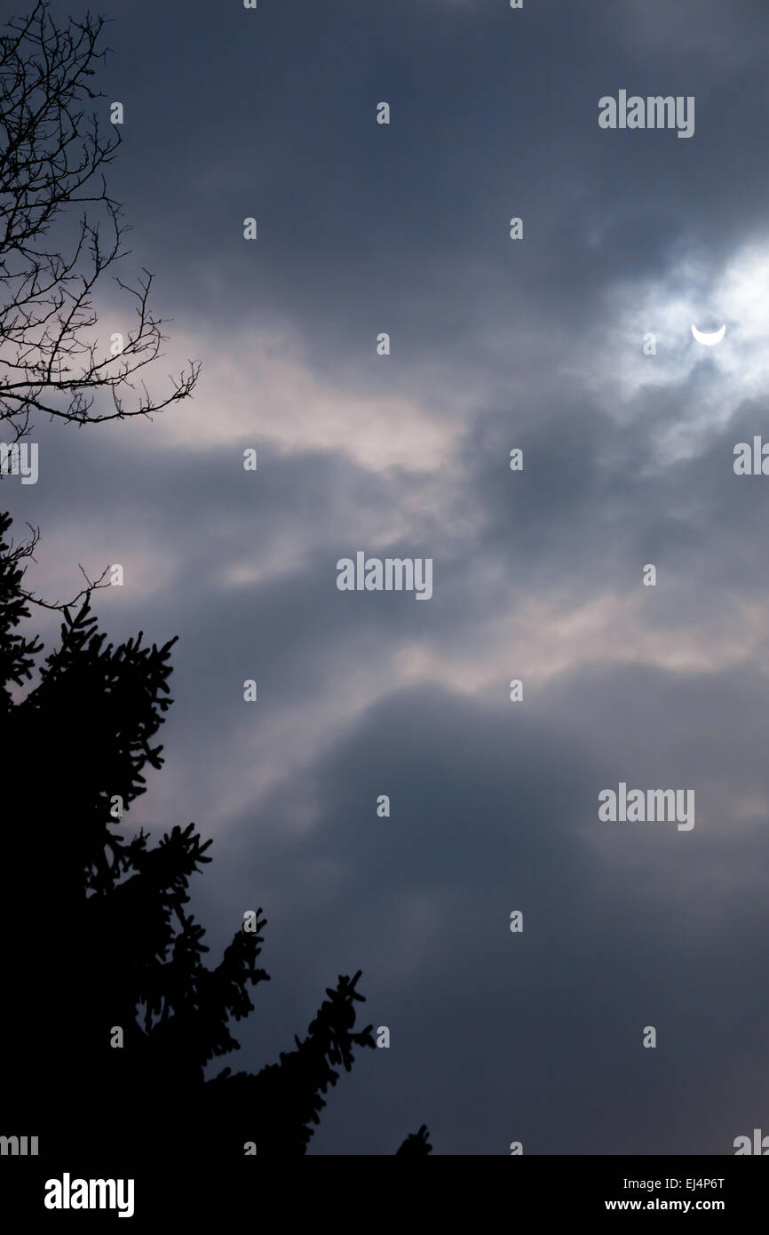 Solar tree italy hi-res stock photography and images - Alamy