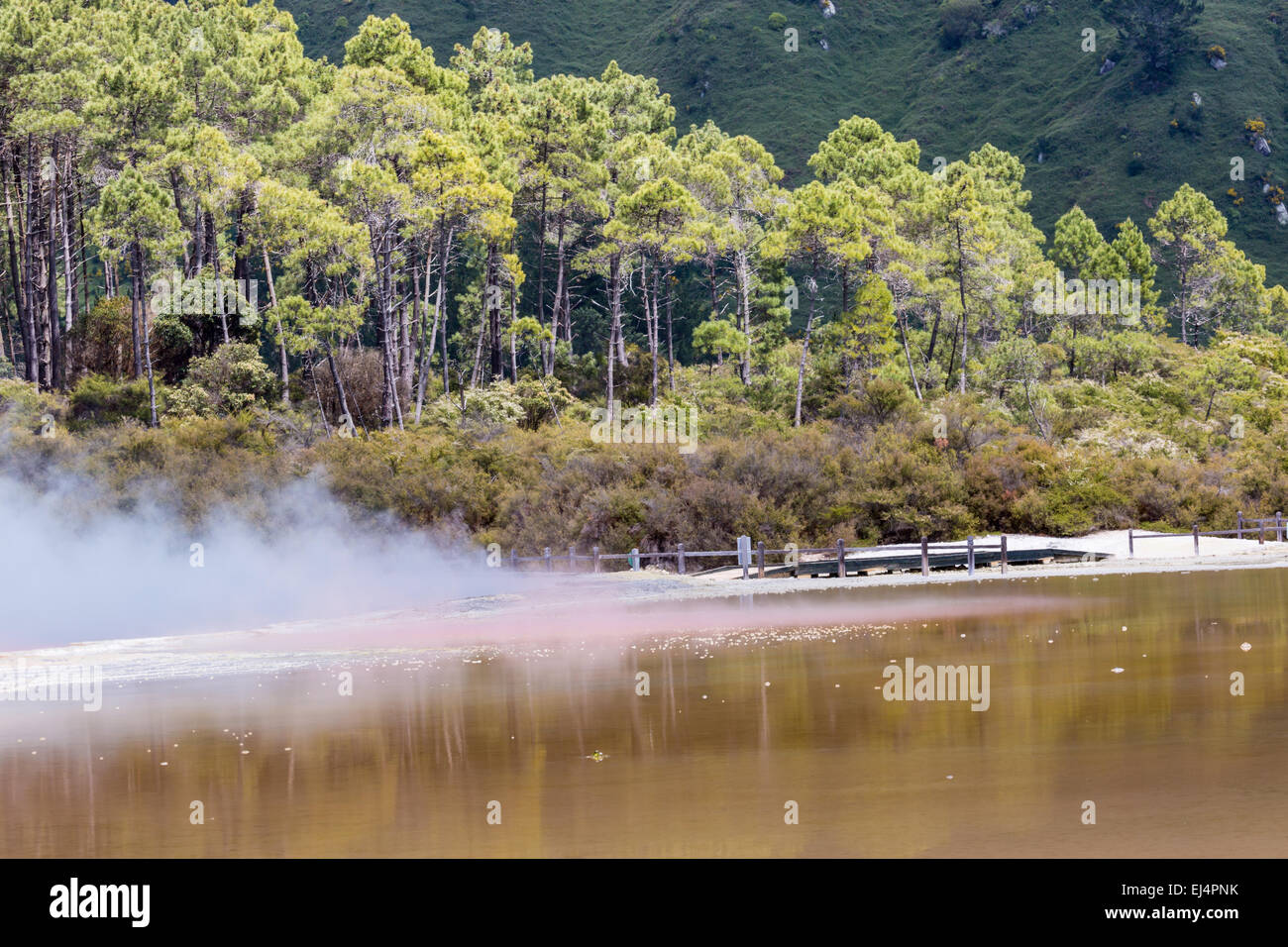 Champagne Pool in Waiotapu Thermal Reserve, Rotorua, New Zealand Stock ...