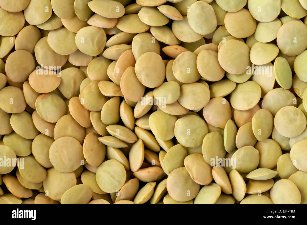 Lentils closeup background Stock Photo - Alamy