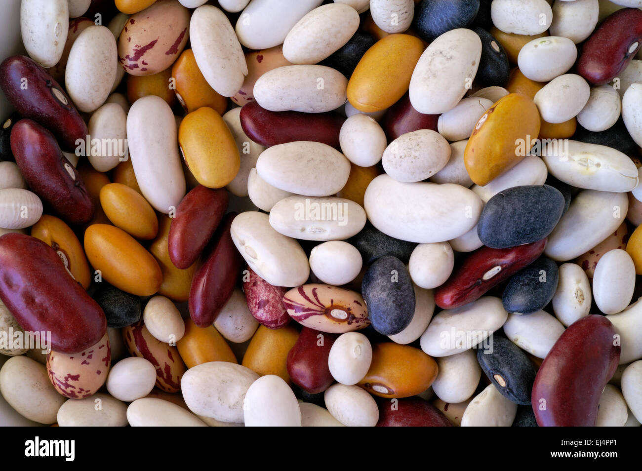 Beans variety ( eight of them Stock Photo - Alamy