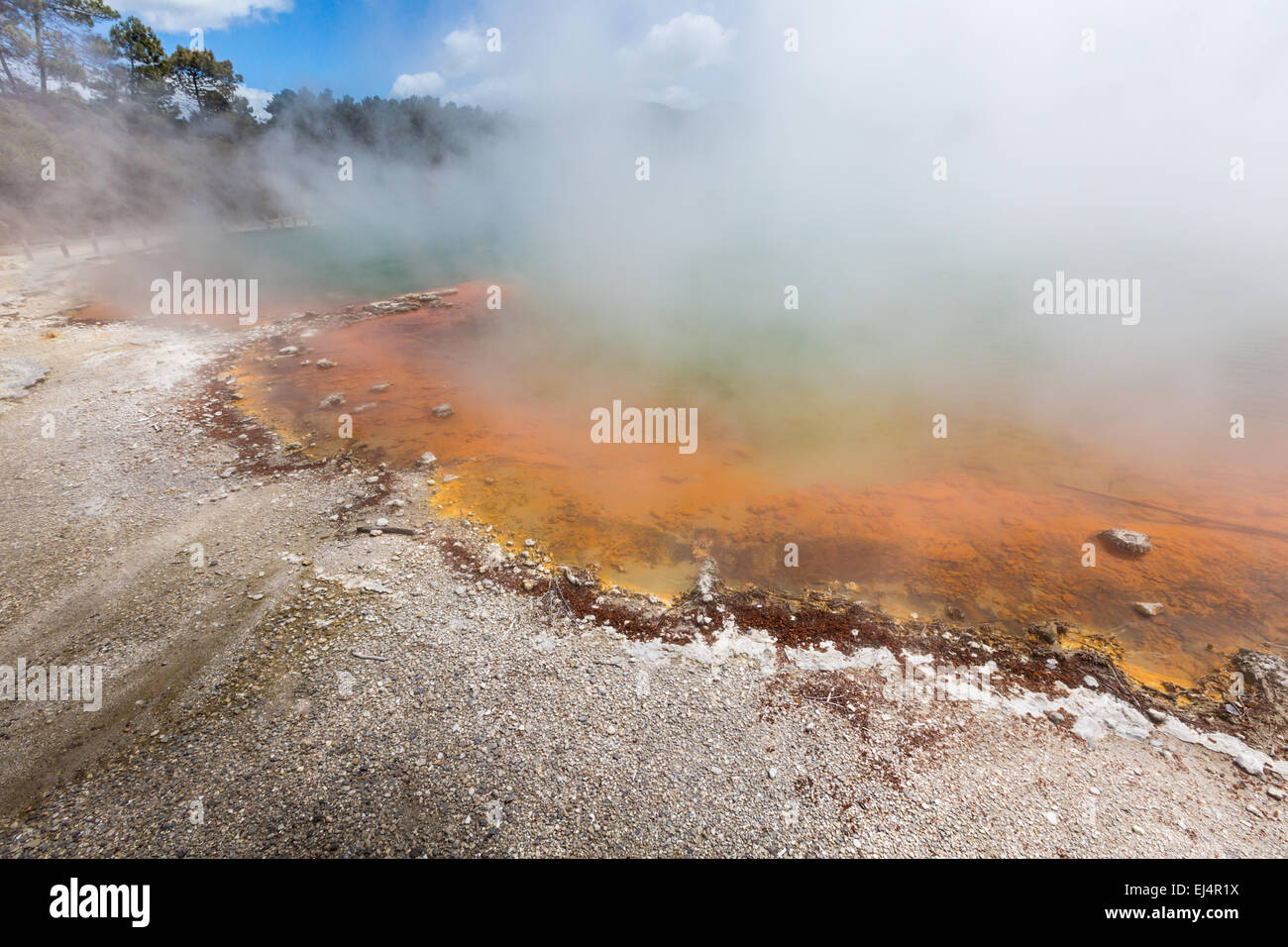 Champagne Pool in Waiotapu Thermal Reserve, Rotorua, New Zealand Stock ...
