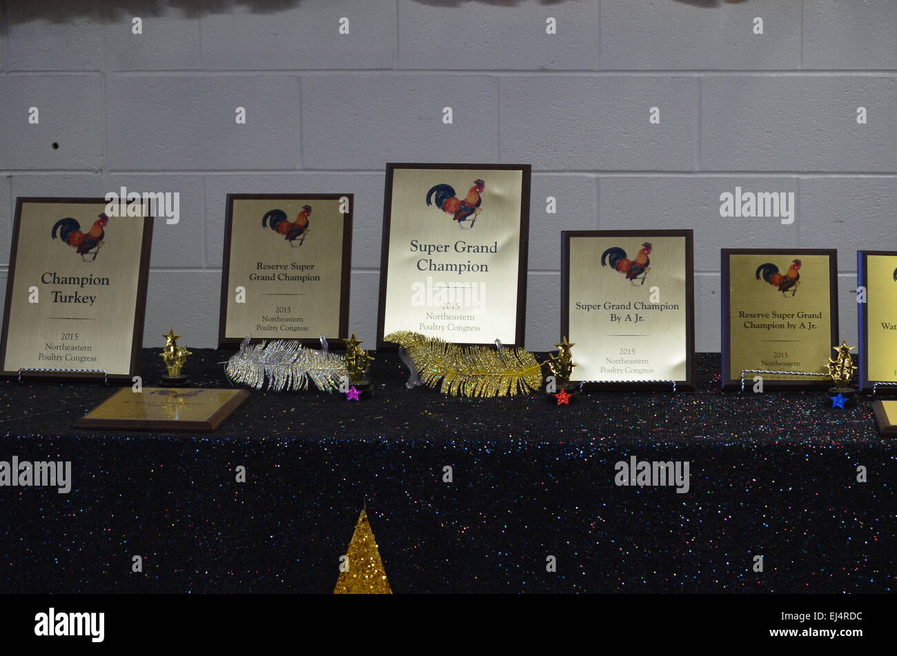 Awards table hi-res stock photography and images - Alamy