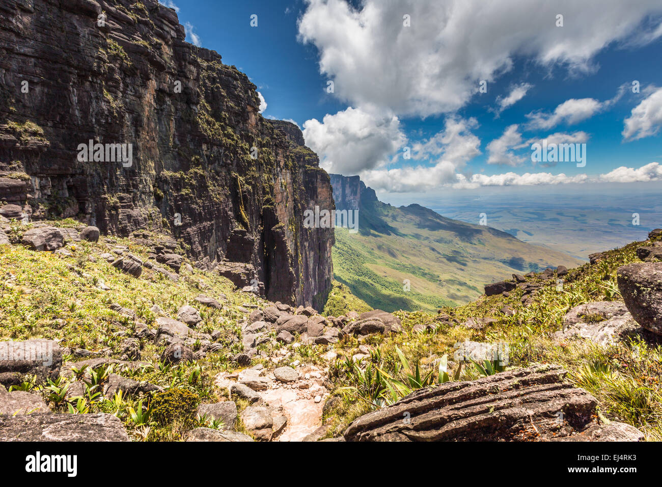 The view from the plateau of Roraima on the Grand Sabana - Venezuela ...