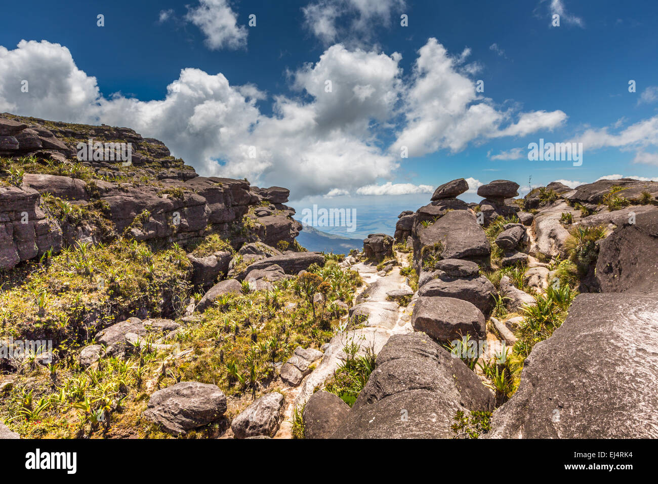 The view from the plateau of Roraima on the Grand Sabana - Venezuela ...