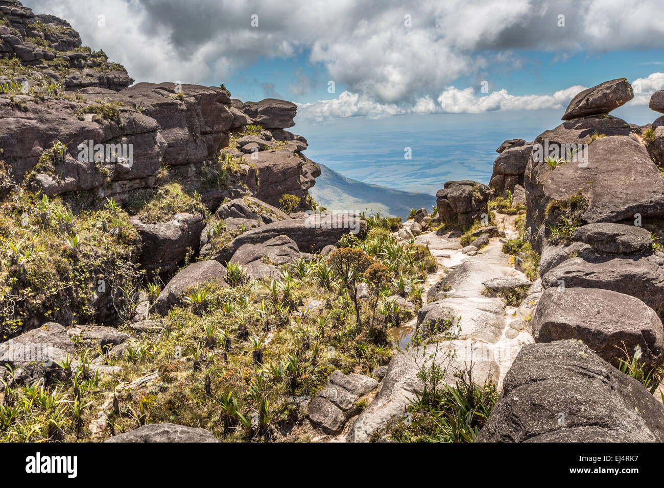 Tepui hi-res stock photography and images - Alamy