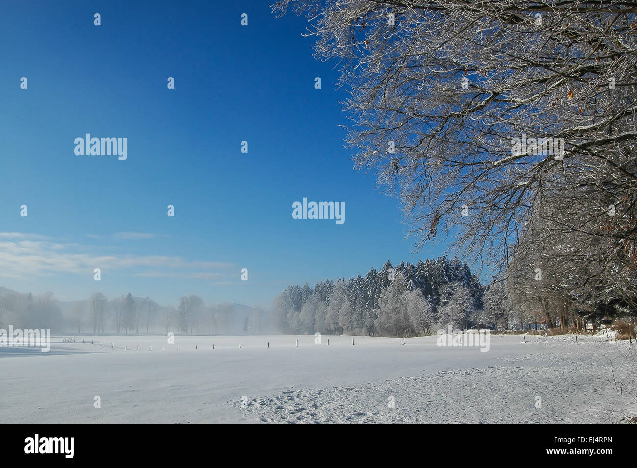 Winter in the Bavarian Alps blue winter sky, lots of snow Stock Photo ...