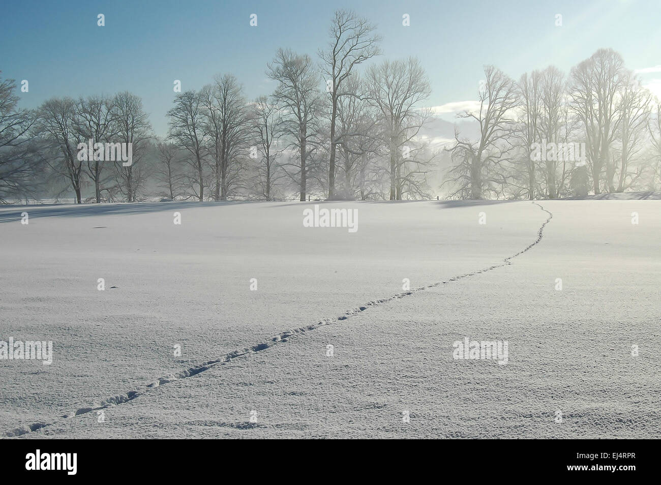 Winter in the Bavarian Alps blue winter sky, lots of snow, Tegernsee ...