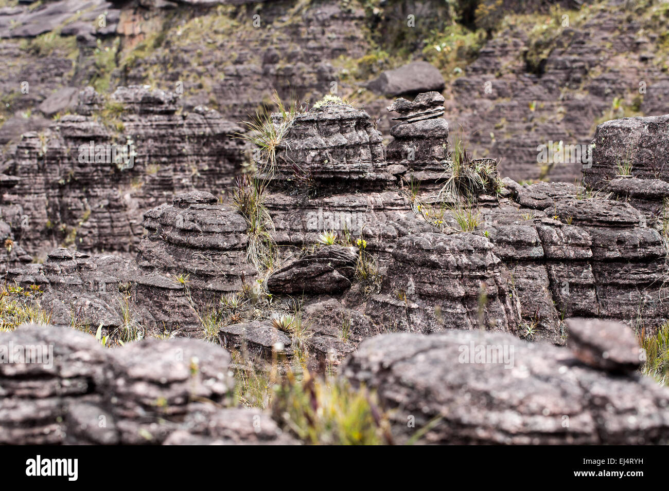 Bizarre ancient rocks of the plateau Roraima tepui - Venezuela, Latin ...