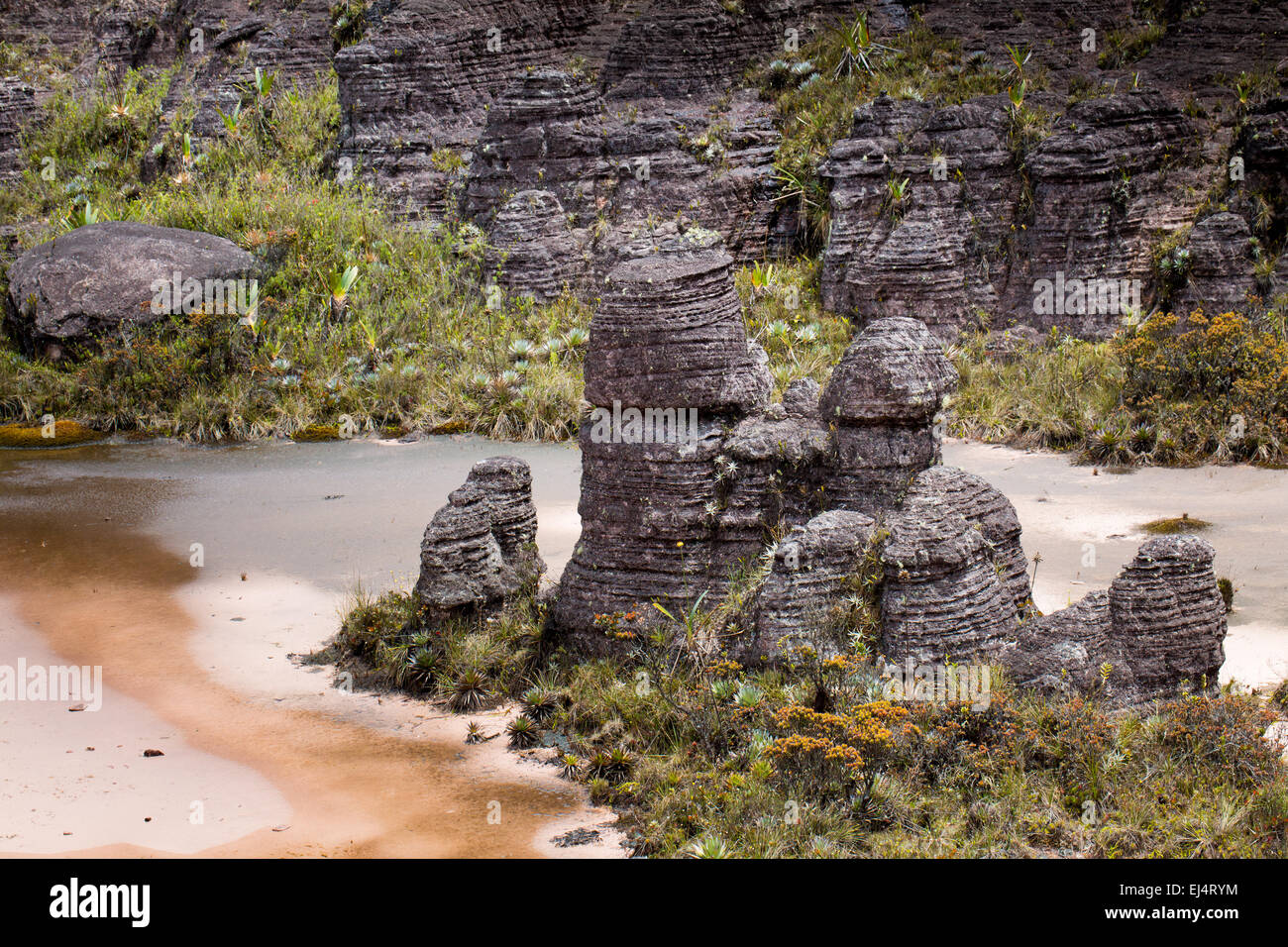 Bizarre ancient rocks of the plateau Roraima tepui - Venezuela, Latin ...