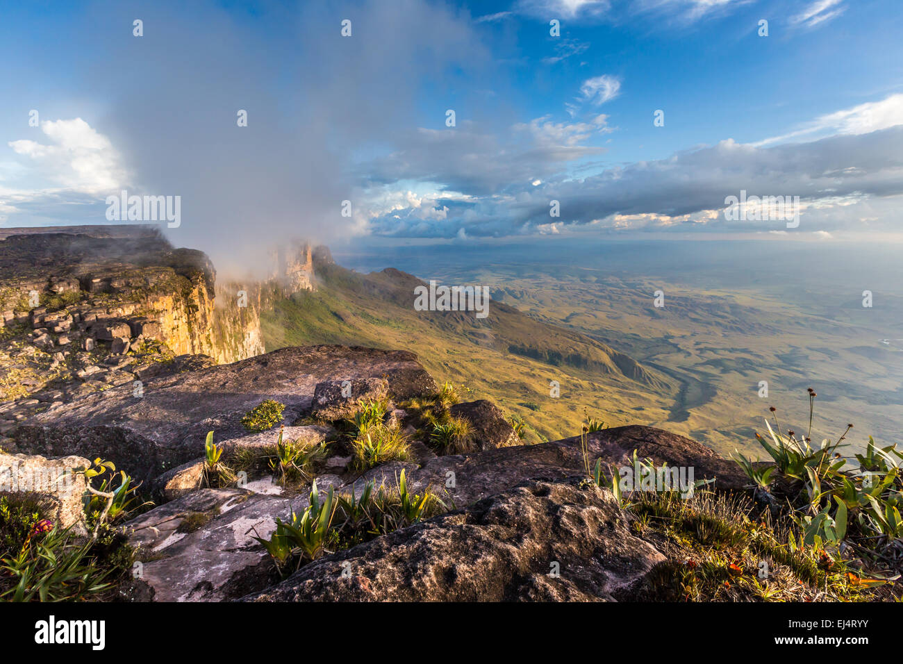 Grand sabana hi-res stock photography and images - Alamy