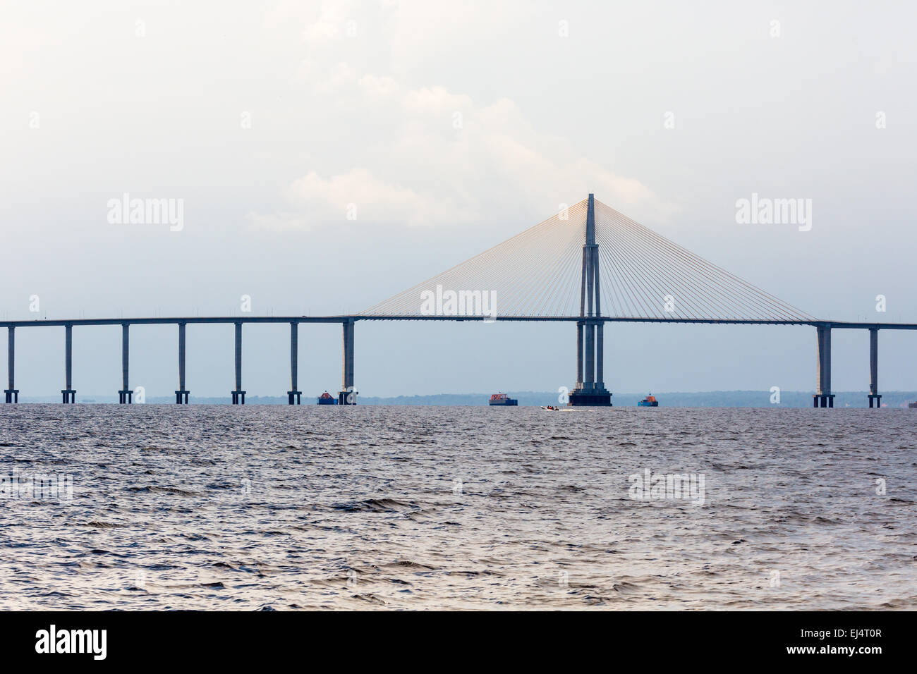 The Manaus Iranduba Bridge (called Ponte Rio Negro in Brazil) is a ...