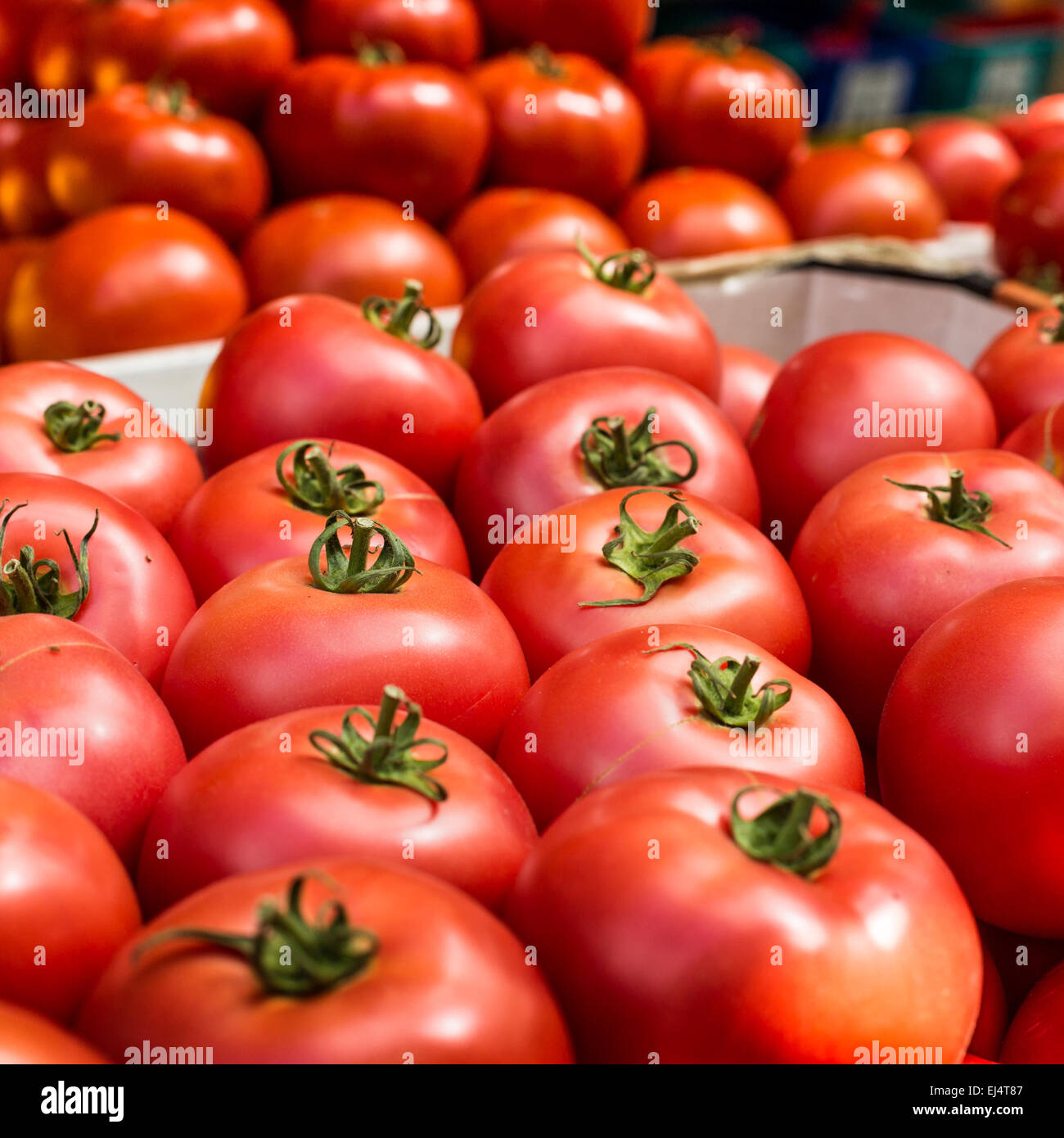 Poland tomatoes hi-res stock photography and images - Alamy