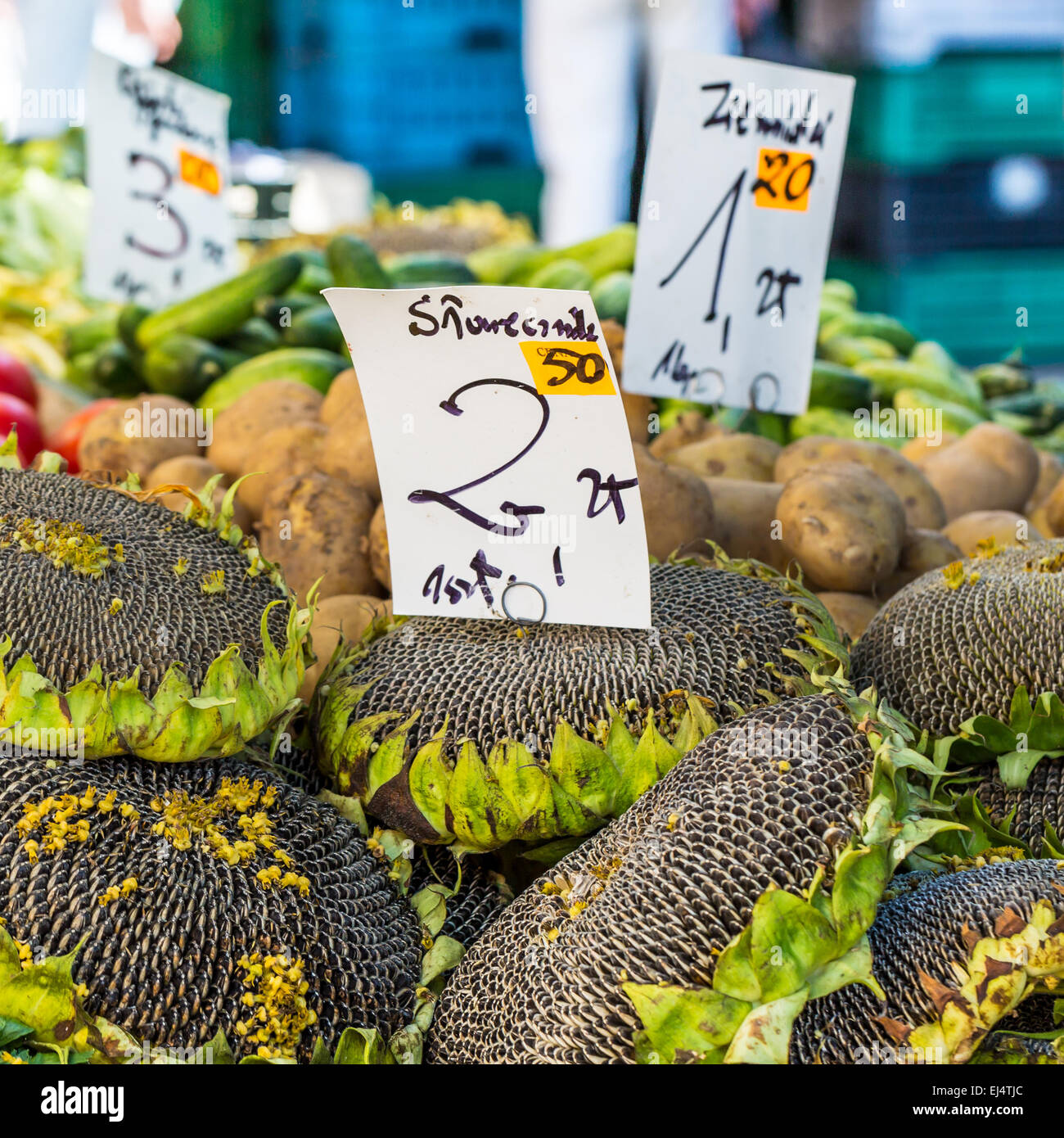 Sunflower with seeds for sale at farmers market. Poland Stock Photo - Alamy