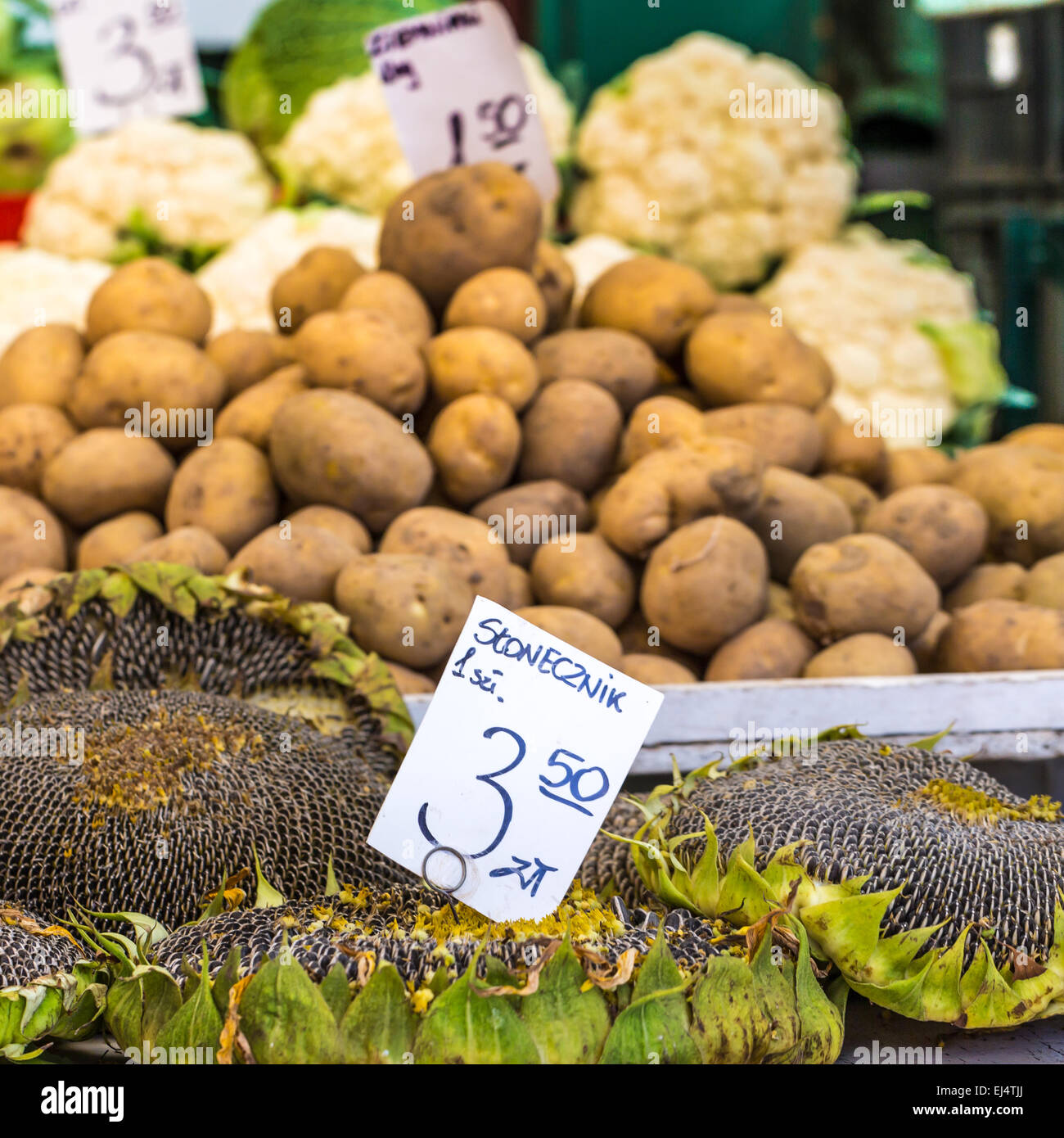 Sunflower with seeds for sale at farmers market. Poland Stock Photo - Alamy