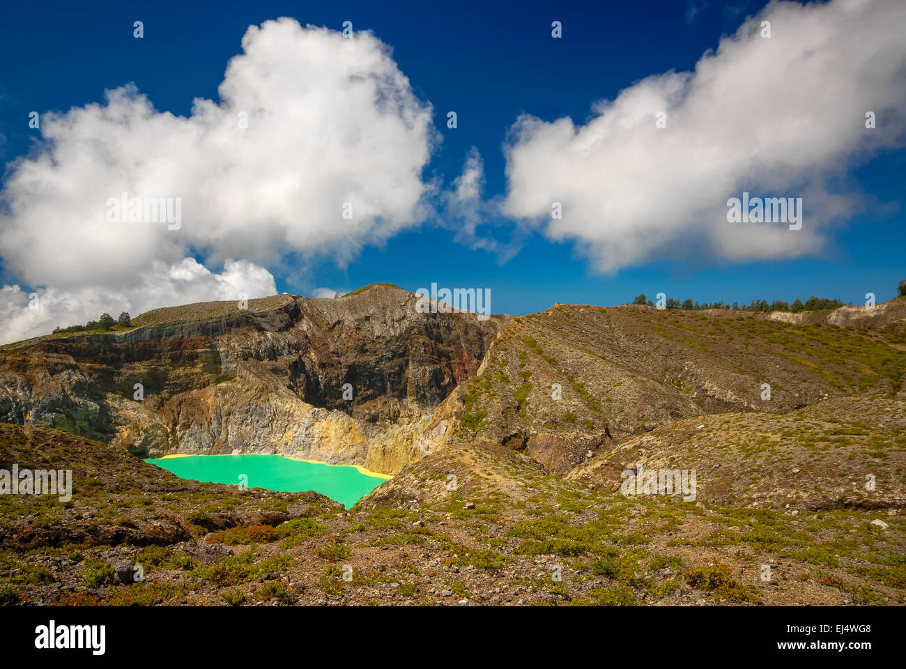 Flores hi-res stock photography and images - Alamy