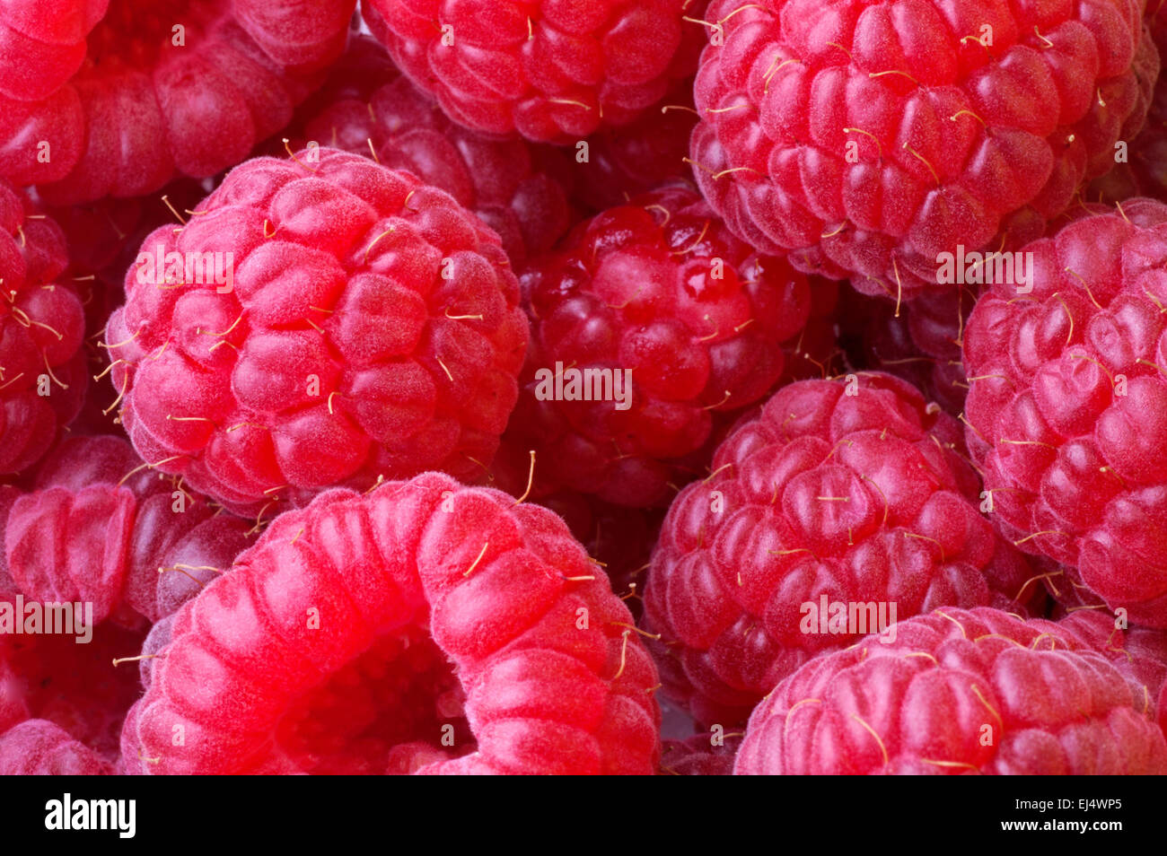 Raspberry texture background Stock Photo - Alamy