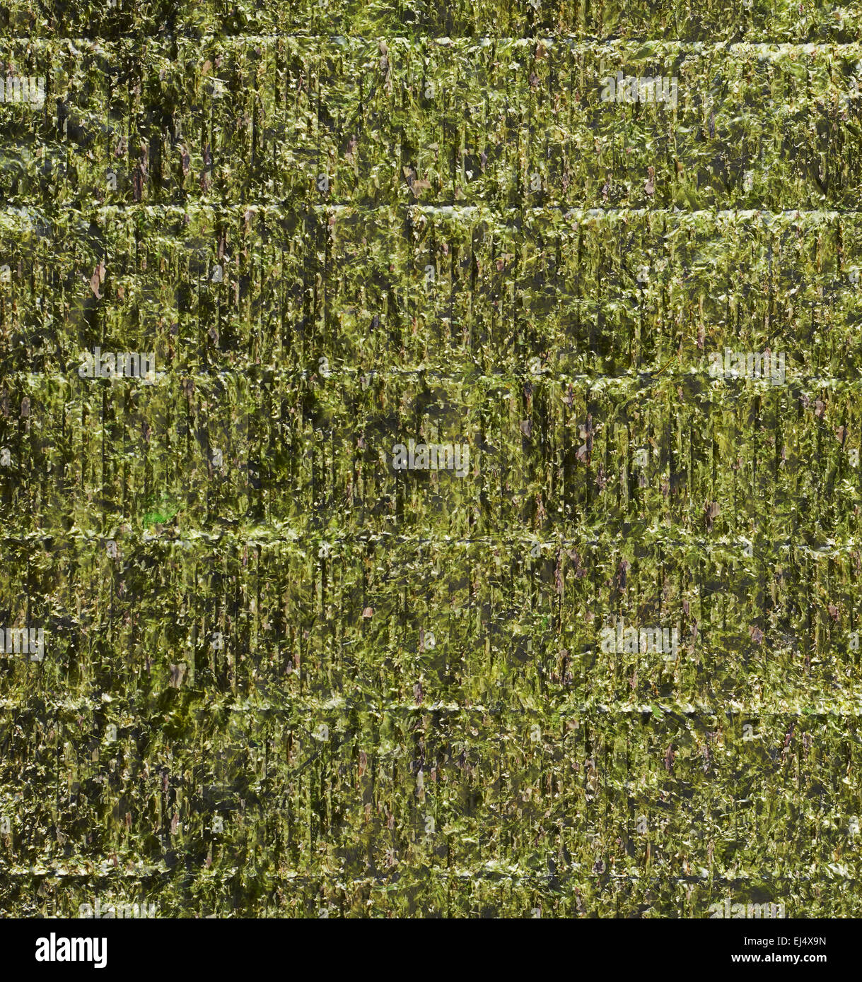 Nori edible seaweed sheet Stock Photo - Alamy