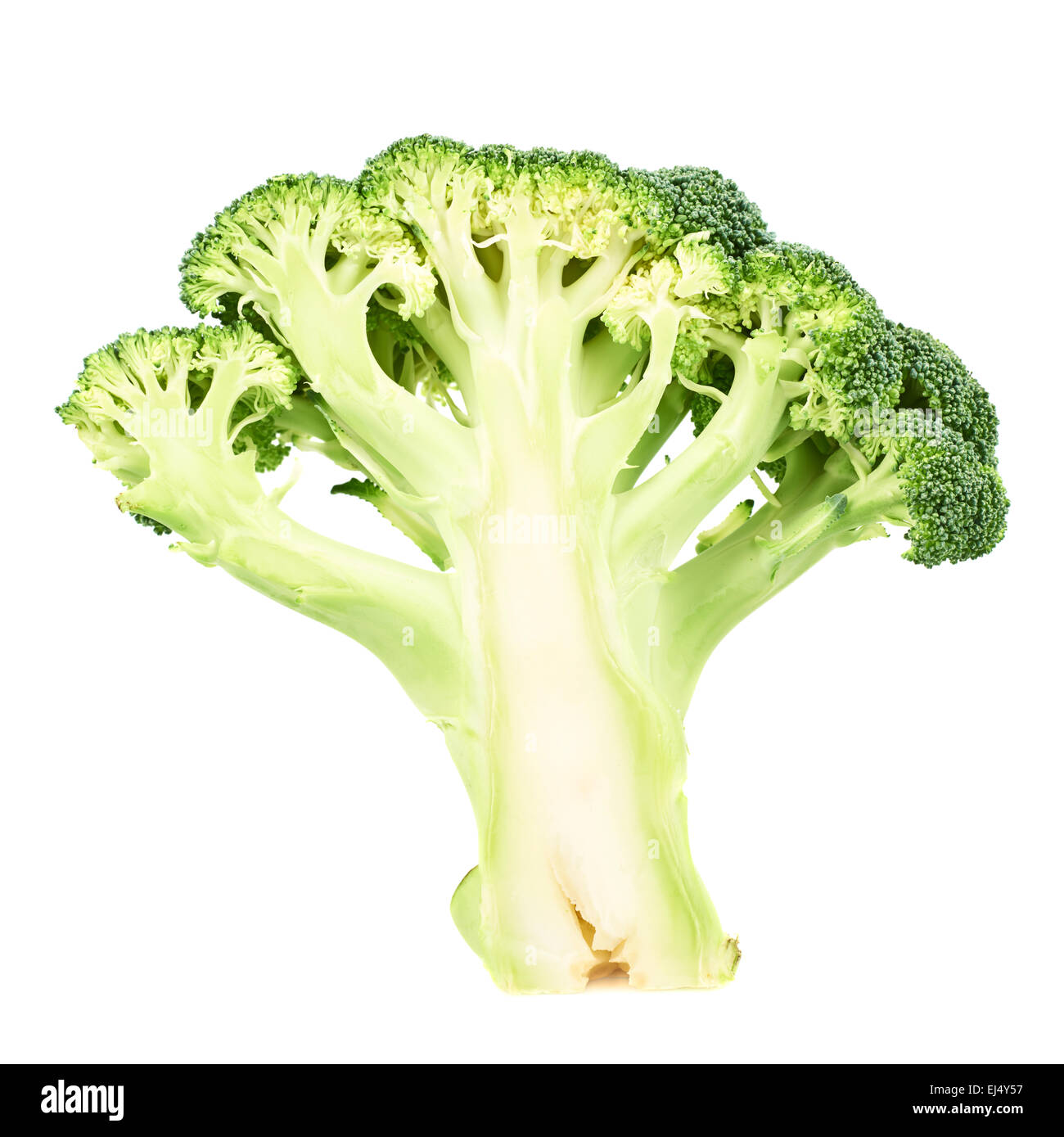 Green broccoli sliced in cutaway isolated Stock Photo - Alamy