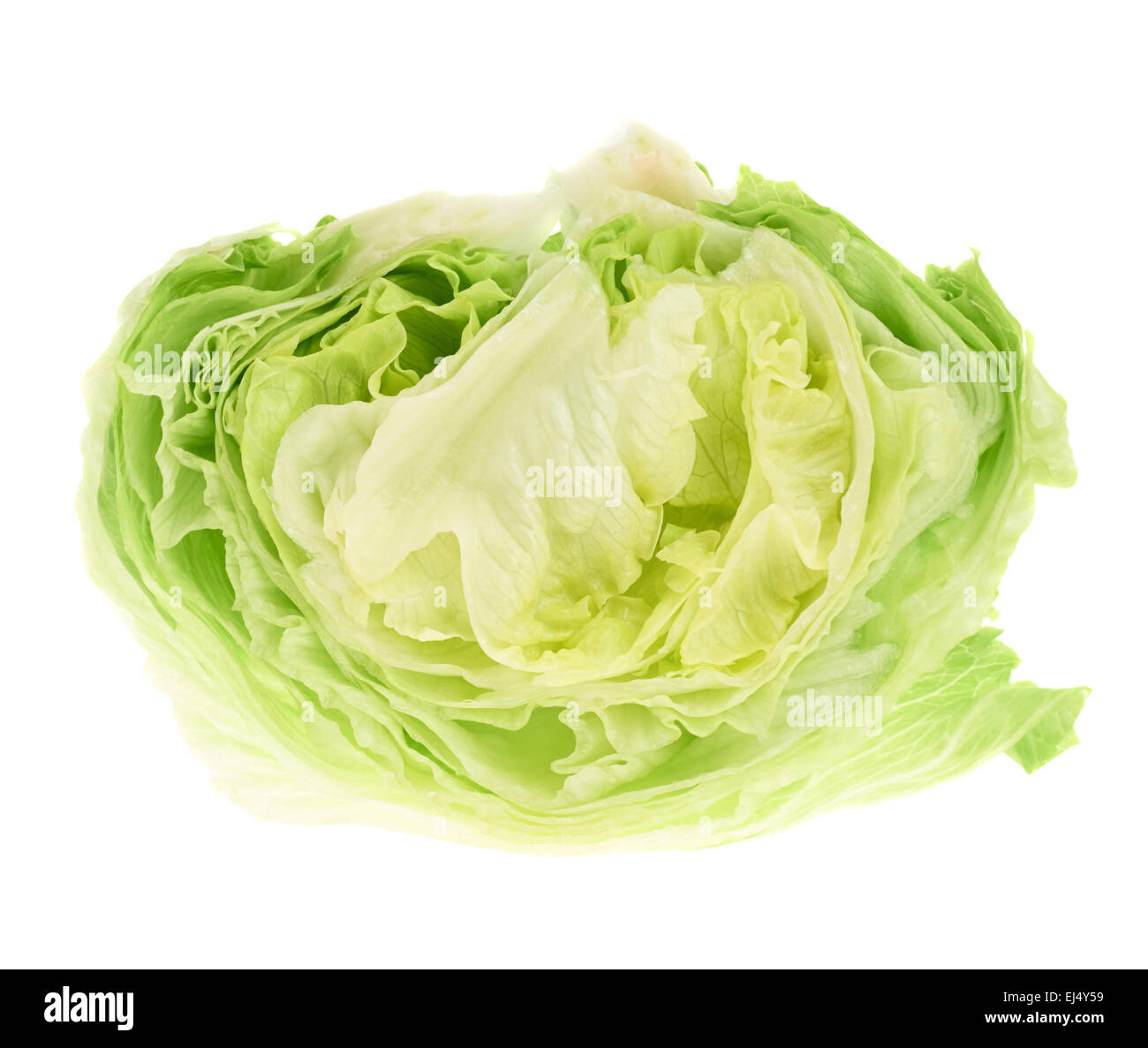 Sliced green cabbage cutaway isolated Stock Photo - Alamy
