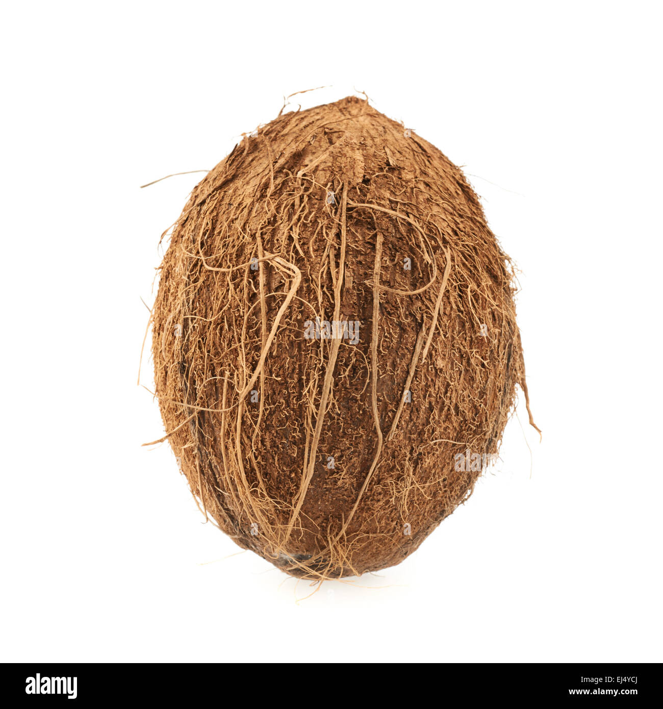 Whole coconut fruit isolated Stock Photo - Alamy