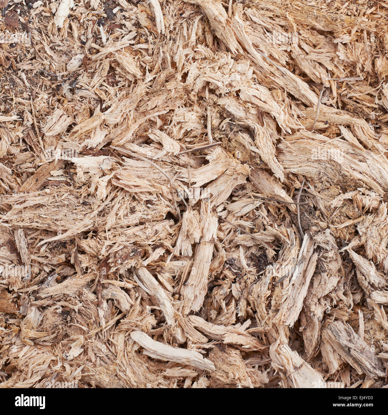 Wood flakes and fibers Stock Photo - Alamy