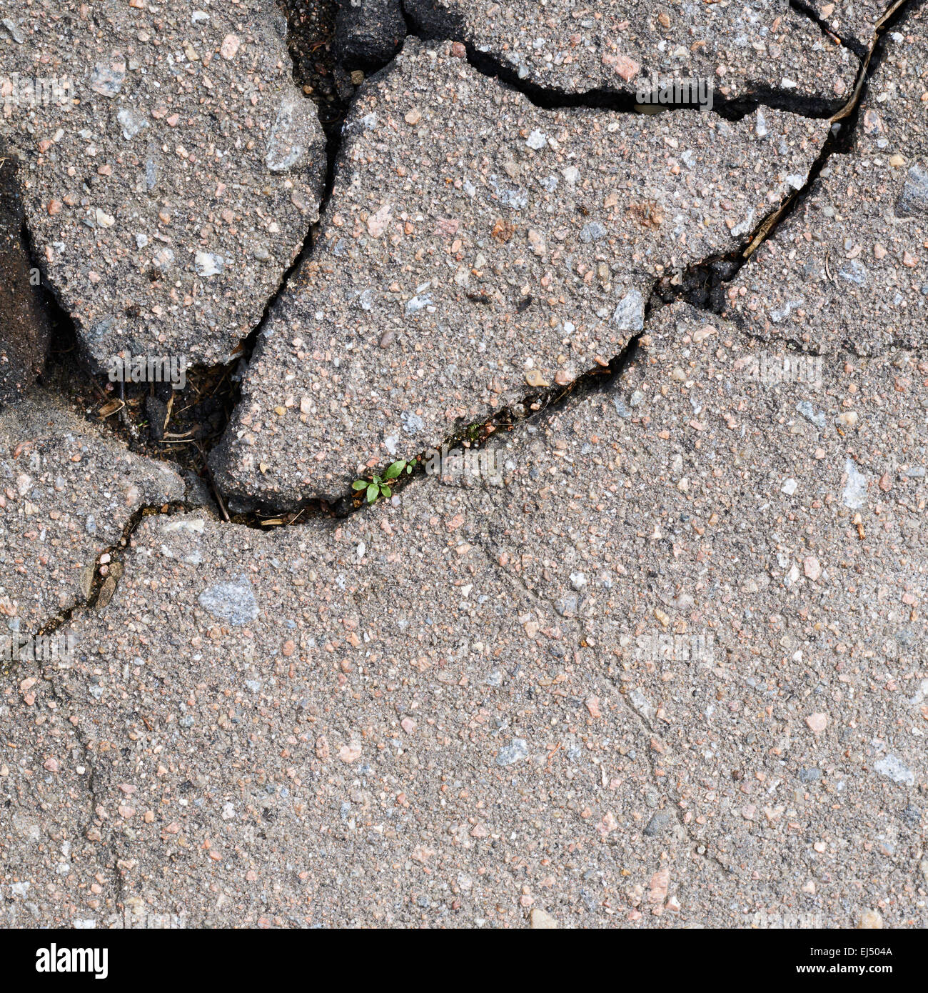 Cracked tarmac earthquake hi-res stock photography and images - Alamy