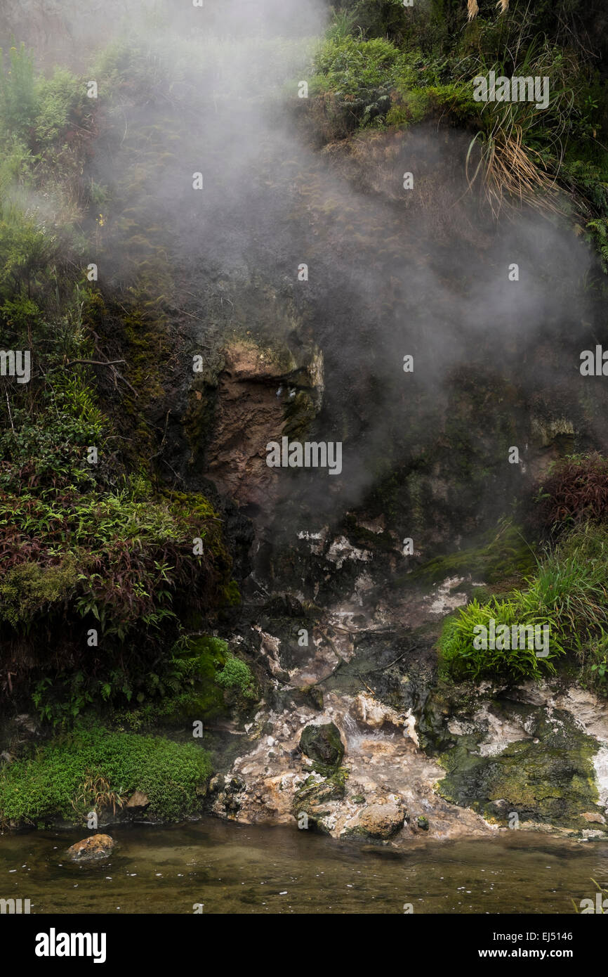 Geothermal tours hi-res stock photography and images - Alamy