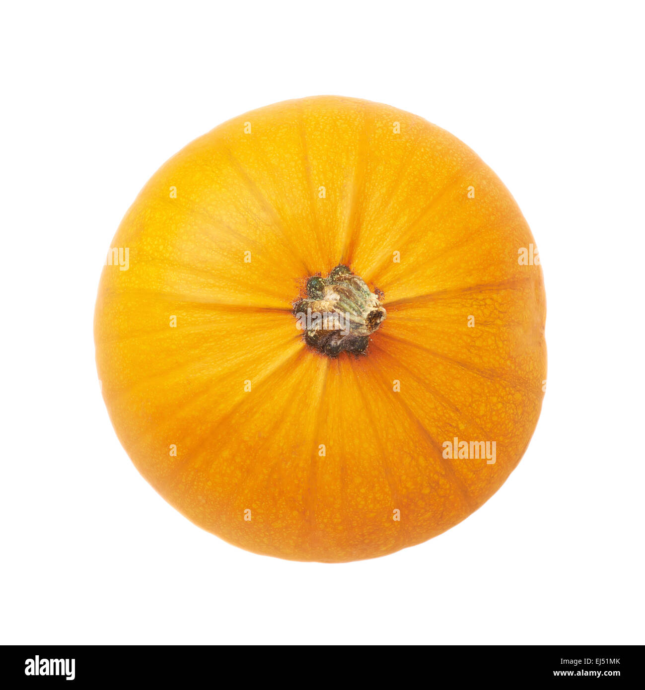 Orange pumpkin isolated Stock Photo - Alamy