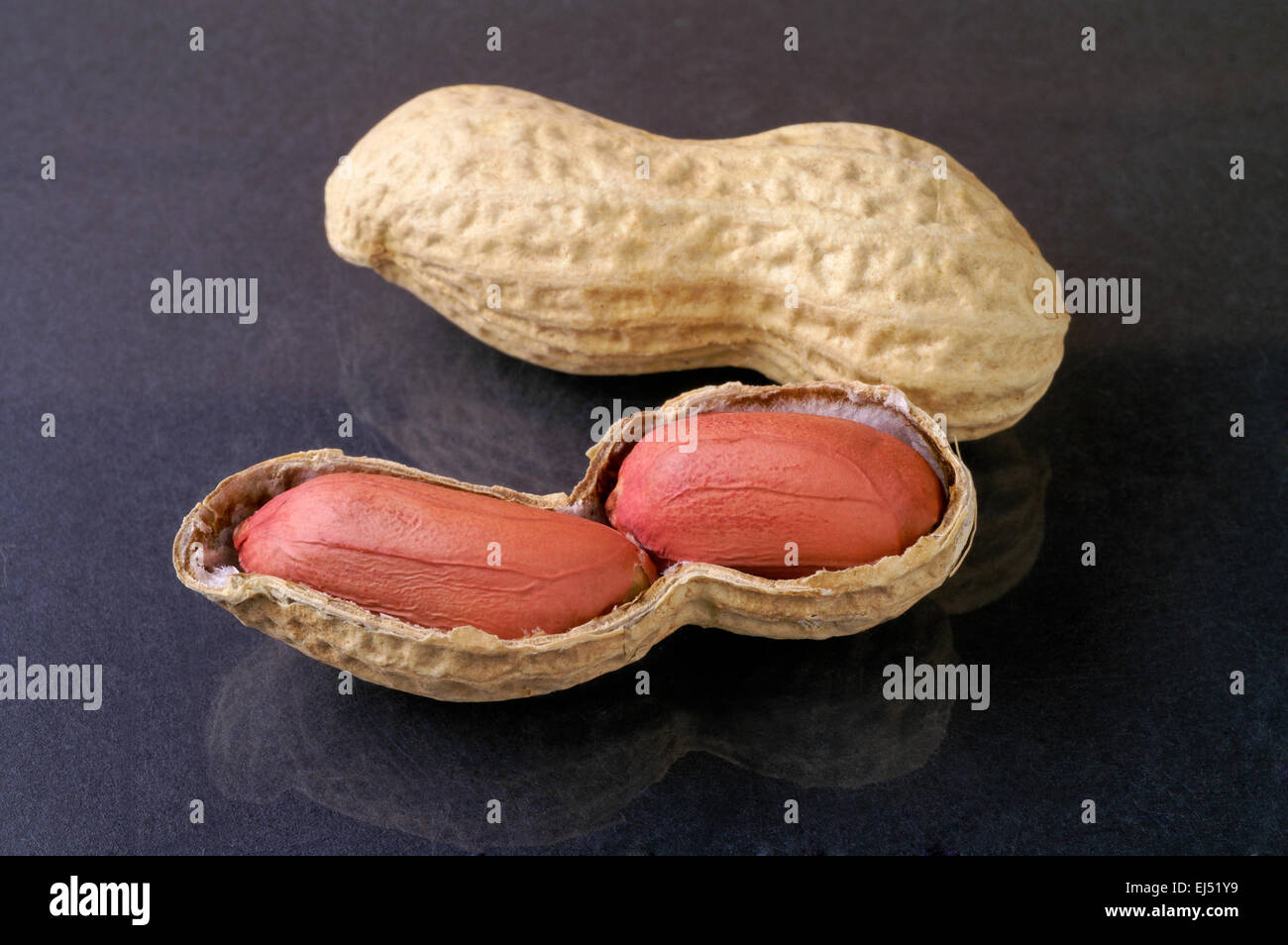 Piddling hi-res stock photography and images - Alamy