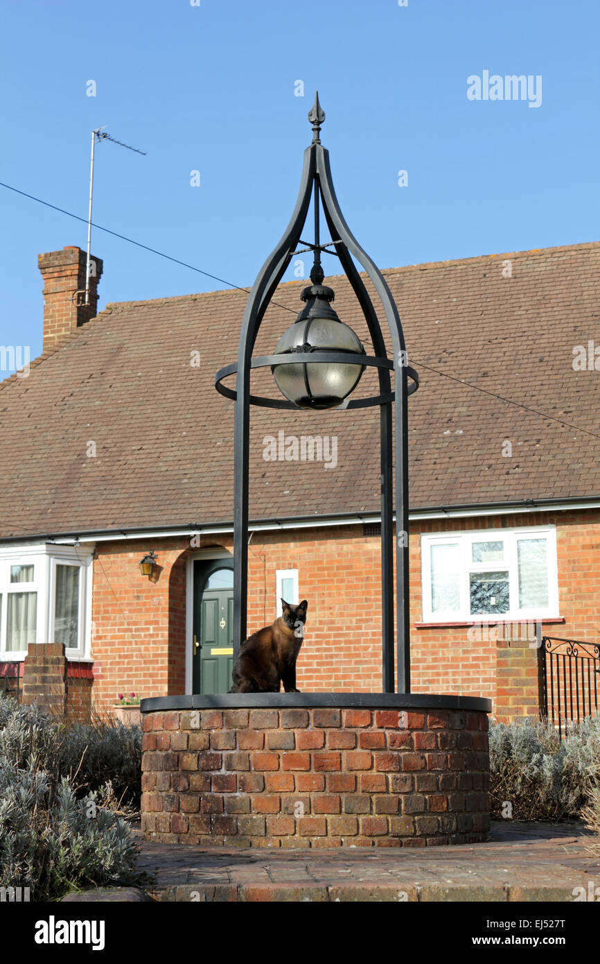 The source of Epsom Salts at The First Epsom Spa Well, Well Way, Epsom ...