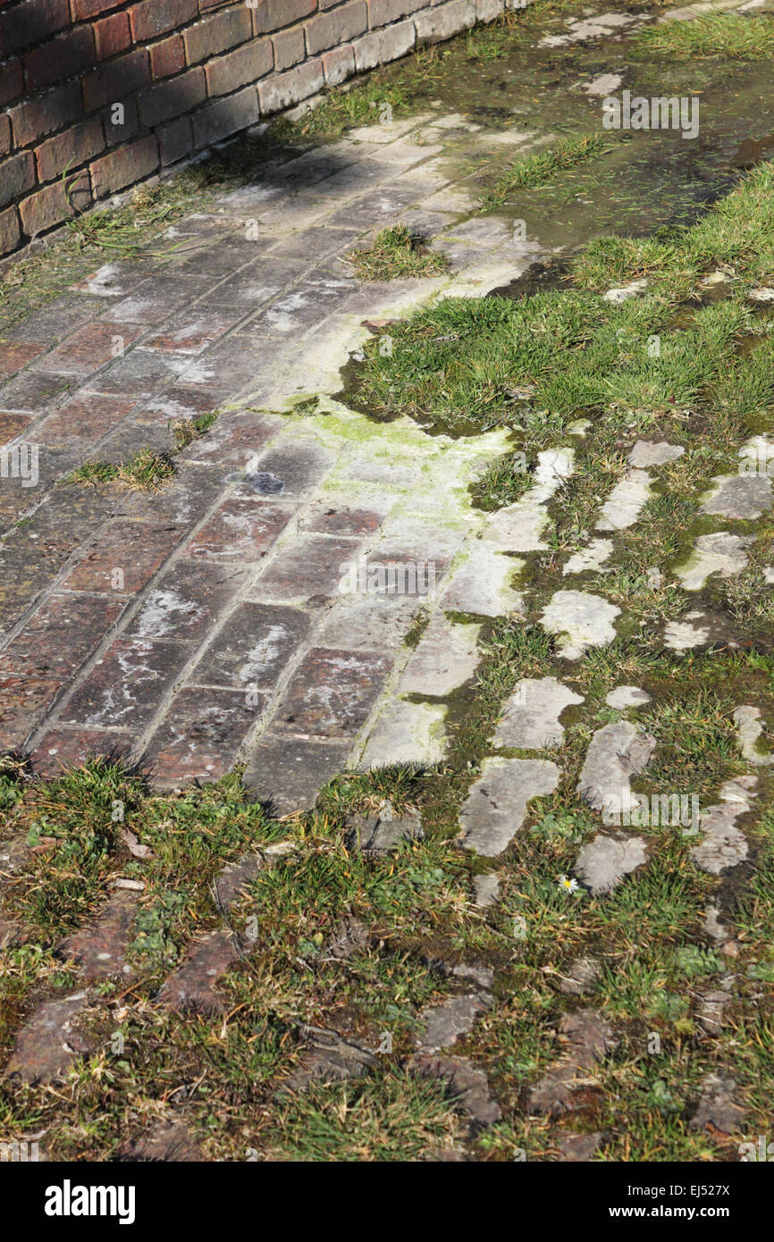 Residue from water leaking from The source of Epsom Salts at The First ...