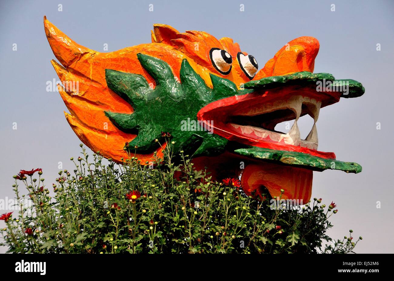 Qingbaijiang, China: Giant dragon head with Chrysanthemums at the ...