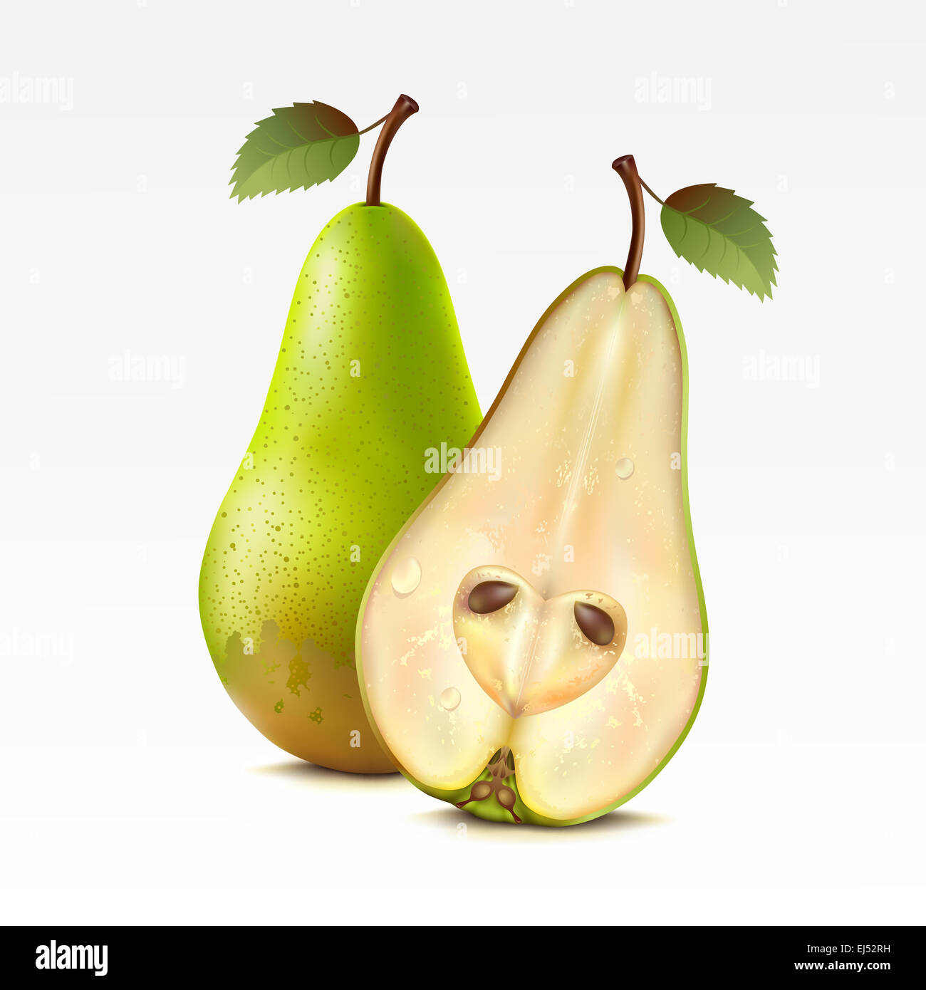 Two pears on a white background. Mesh Stock Photo - Alamy