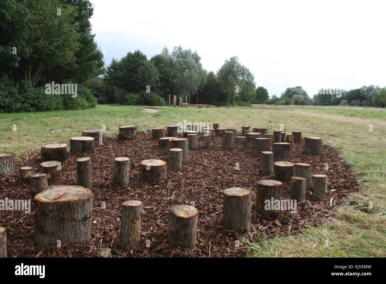 Stepping wood hi-res stock photography and images - Alamy