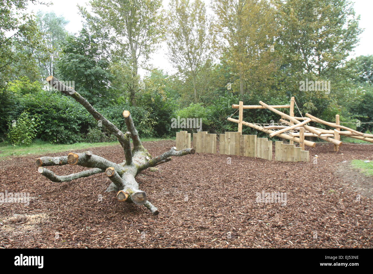 Chipping tree bark hi-res stock photography and images - Alamy