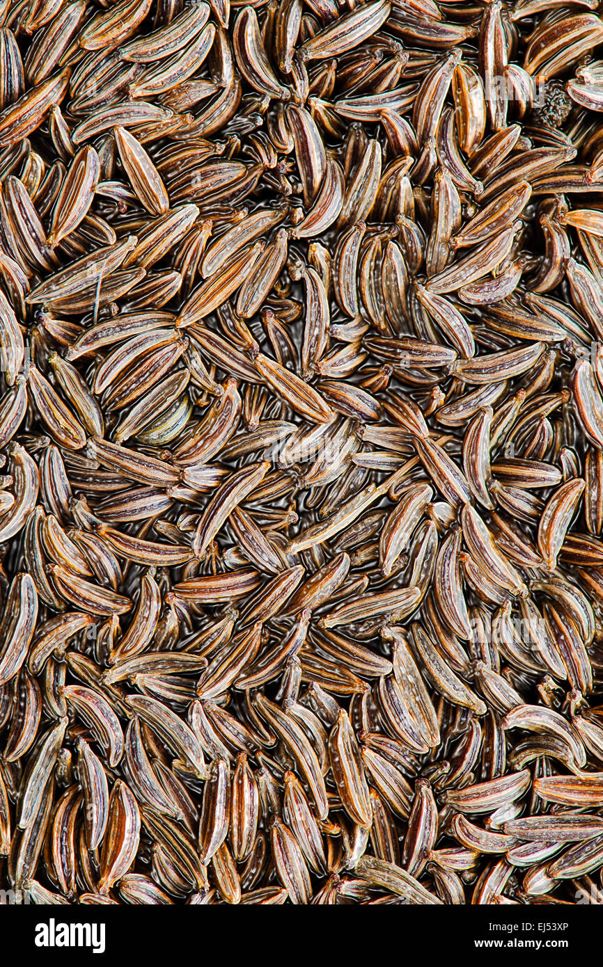 Indian spices background hi-res stock photography and images - Alamy