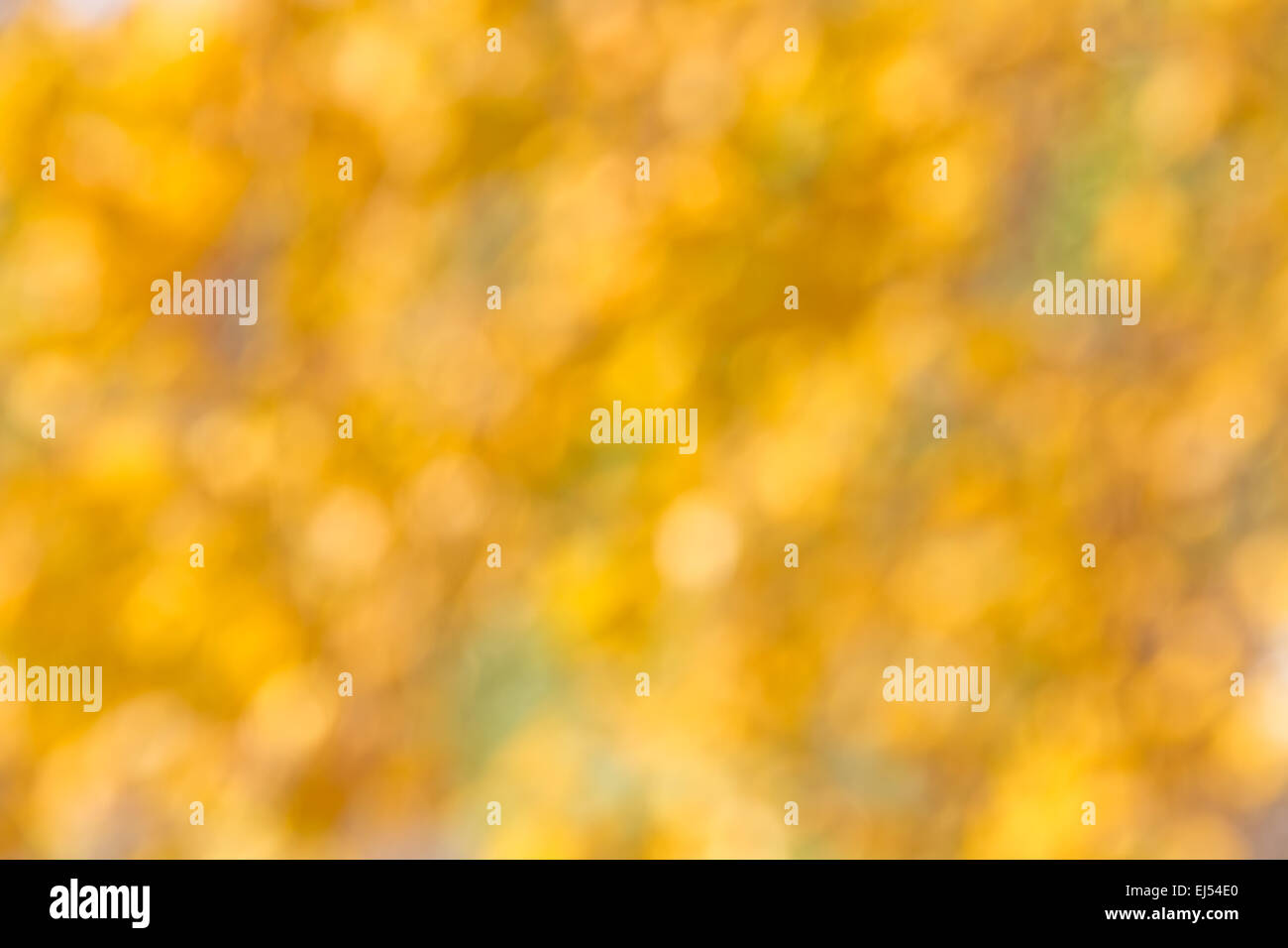 Natural blurred background.Element of design Stock Photo - Alamy