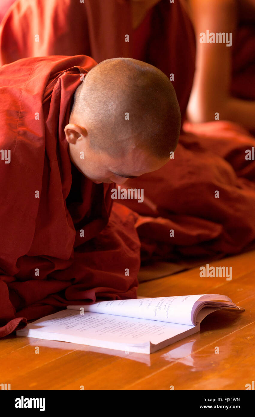 Buddhist monk reading a book hi-res stock photography and images - Alamy