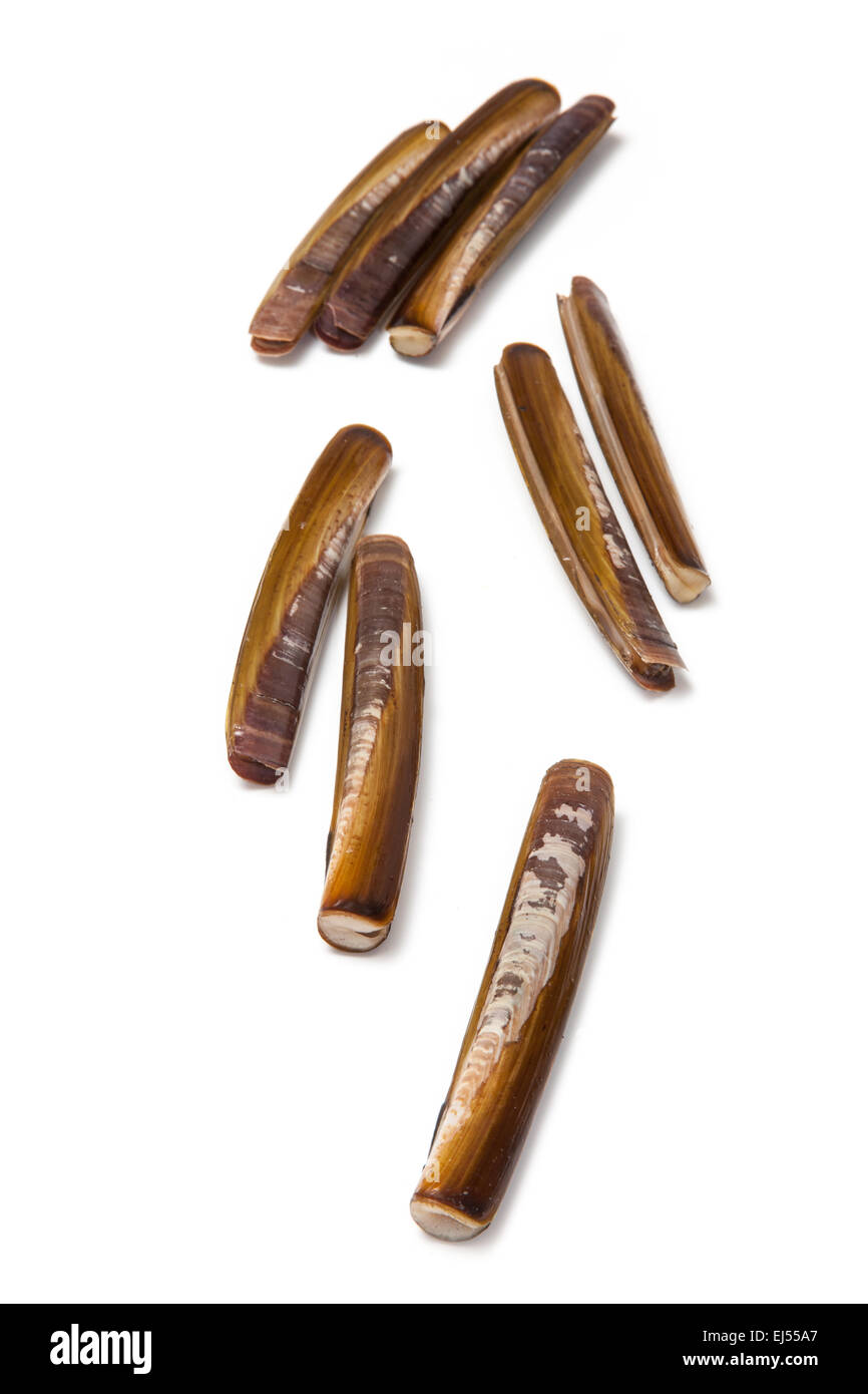 Raw Razor Clams isolated on a white studio background Stock Photo - Alamy