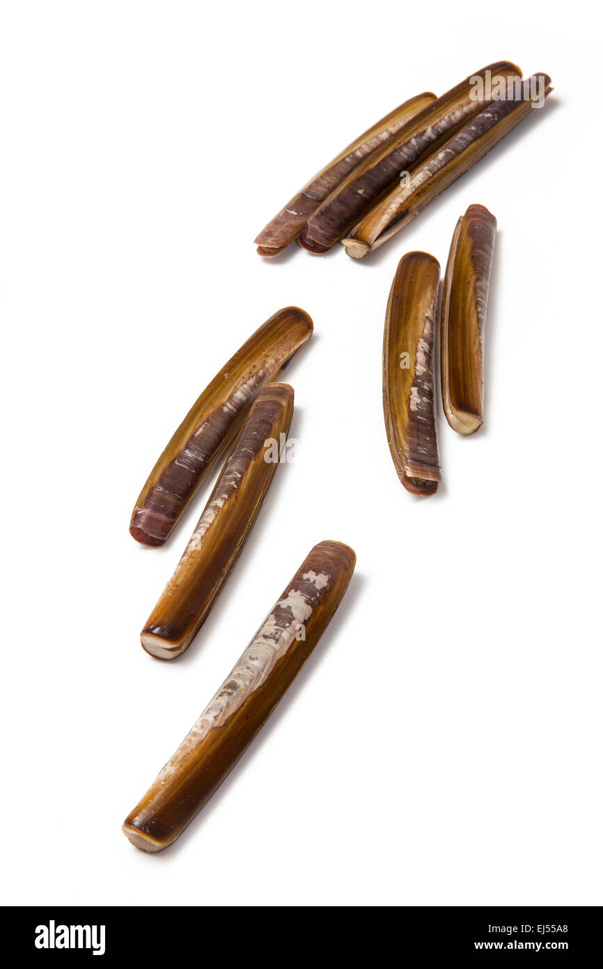 Raw Razor Clams isolated on a white studio background Stock Photo - Alamy