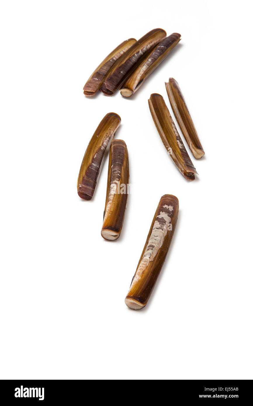 Razor clams hi-res stock photography and images - Alamy