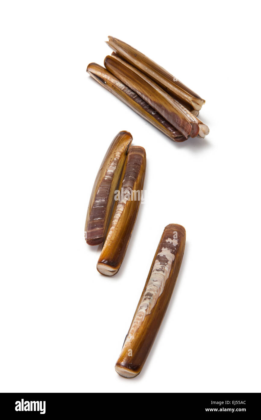 Raw Razor Clams isolated on a white studio background Stock Photo - Alamy