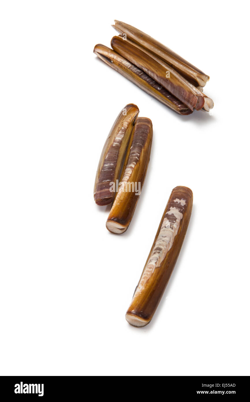 Razor clams hi-res stock photography and images - Alamy