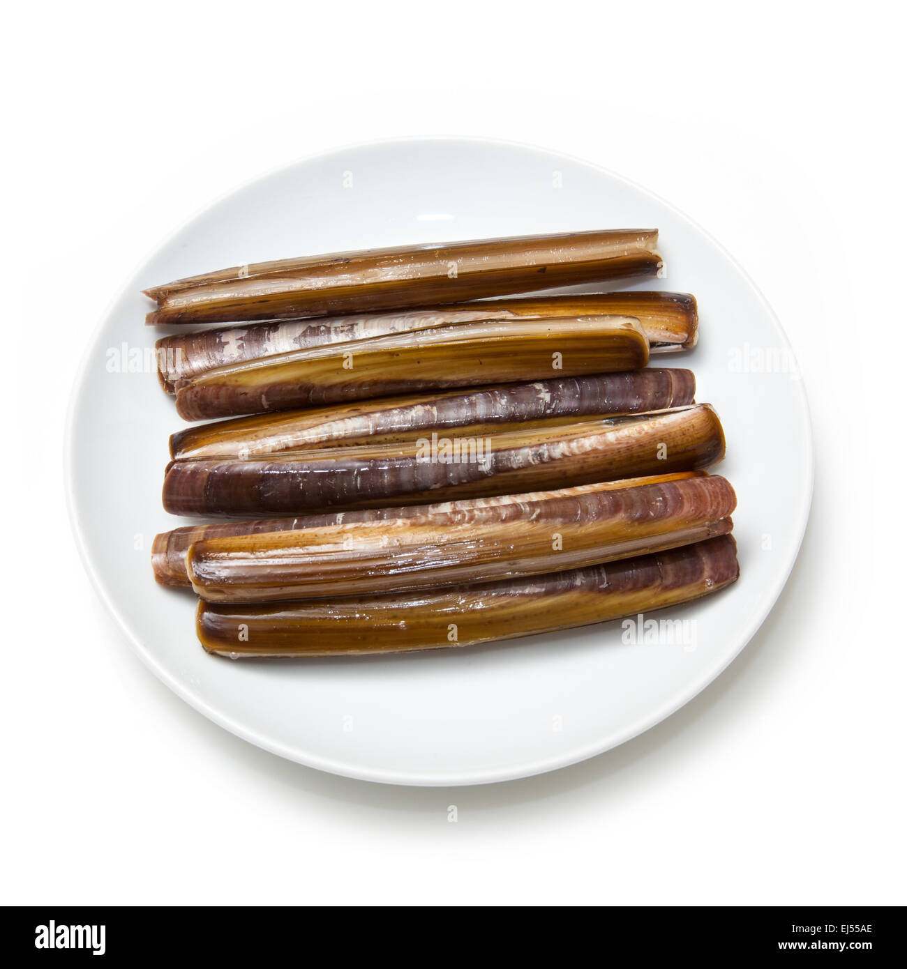 Raw Razor Clams isolated on a white studio background Stock Photo - Alamy
