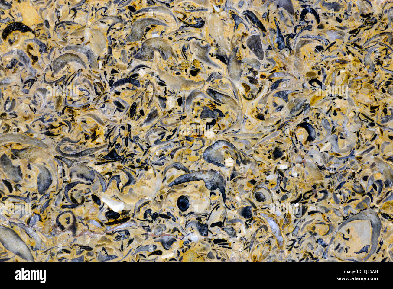 Backgrounds and textures: limestone, surface of beautiful yellow-grey ...